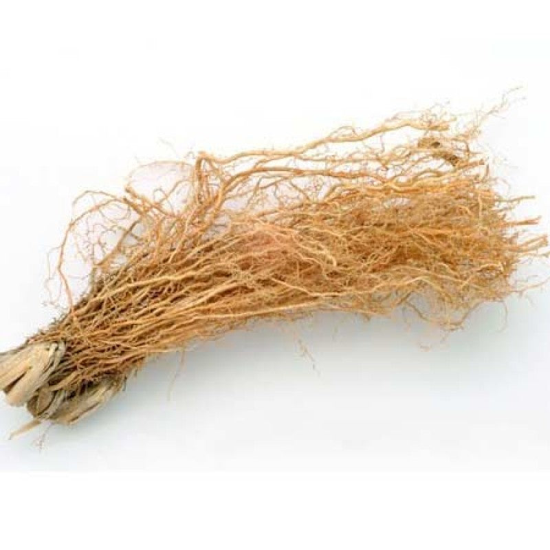 7 Benefits of Vetiver Essential Oil and How to Use it. – Green Theory ...